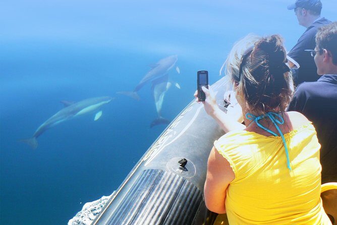 Dolphin Watching and Cave Tour from Vilamoura - FAQ