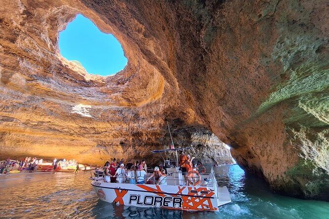 Dolphin Watching and Caves Cruise - Key Points