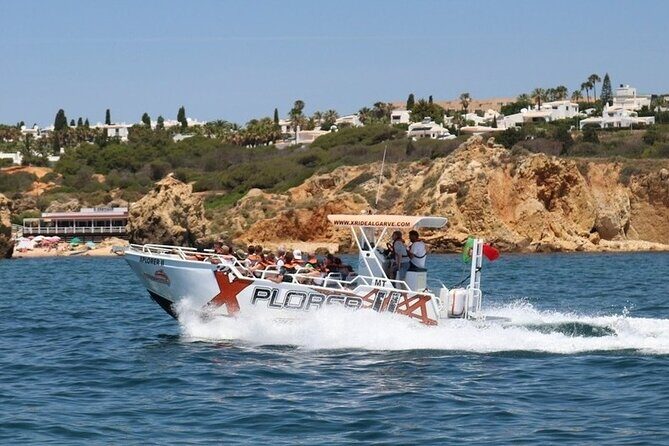 Dolphin Watching and Caves Cruise - An In-Depth Look at the Tour Experience