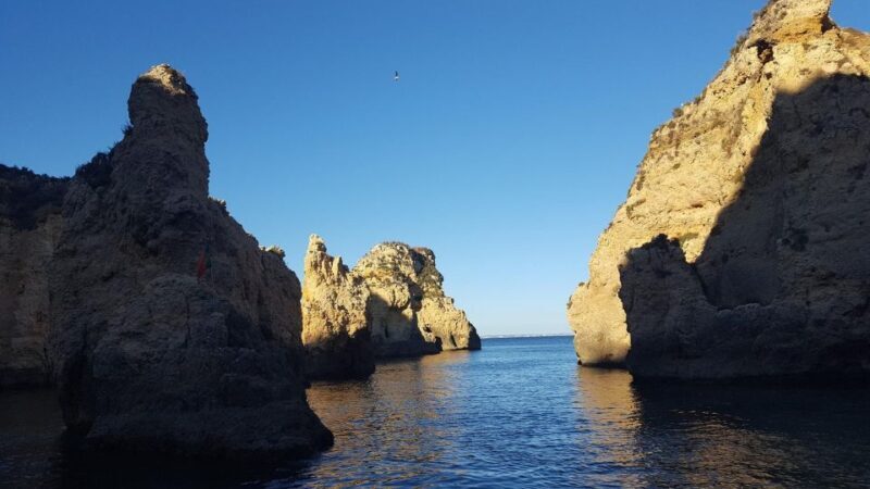 Dolphin Watching and Local Caves - An In-Depth Look at the Algarve Dolphin and Cave Tour
