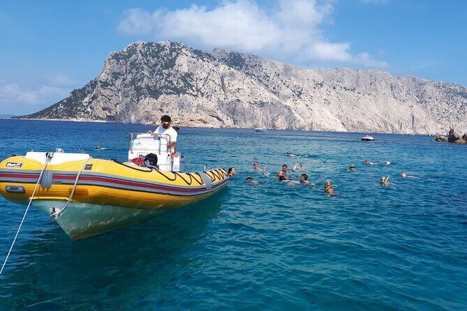 Dolphin Watching and Snorkeling in Figarolo in Sardinia - Who Would Love This Tour?