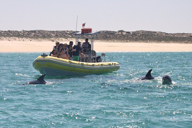Dolphin Watching at the Arrabida (Lisbon region) - FAQs