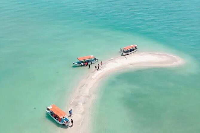 Dolphin watching by private boat from Isla Aguada - Key Points