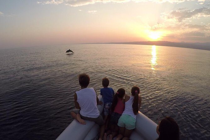 Dolphin Watching & Conservation - Dolphins in the Gulf of Catania - How the Tour Works and What to Expect  