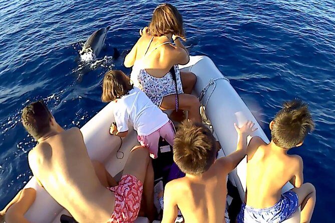 Dolphin Watching & Conservation - Dolphins in the Gulf of Catania - FAQ  