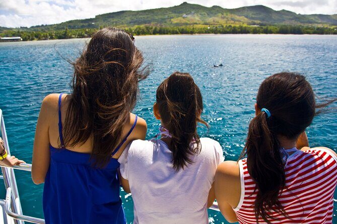 Dolphin Watching Cruise with Underwater Observatory Viewing - Authentic Insights & Traveler Tips