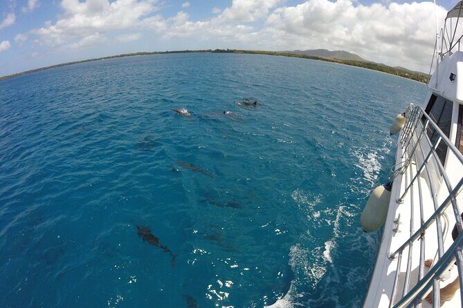 Dolphin Watching Cruise with Underwater Observatory Viewing - Frequently Asked Questions