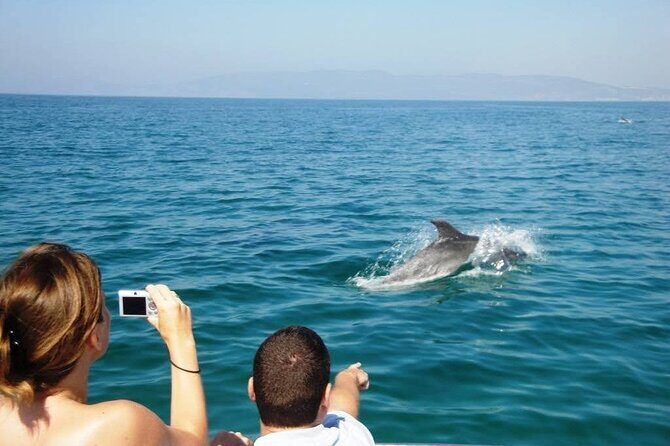 Dolphin Watching from Faro - Who Should Book This Tour?
