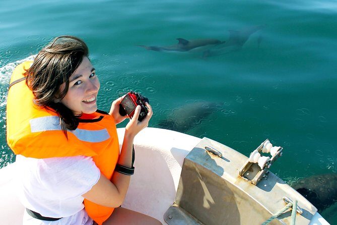 Dolphin Watching from Fuzeta - Key Points