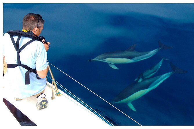 Dolphin Watching from Fuzeta - FAQ