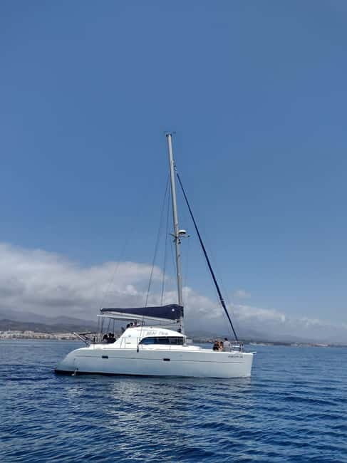 Dolphin watching in Estepona - Dolphin Watching in Estepona: An Authentic Sea Adventure