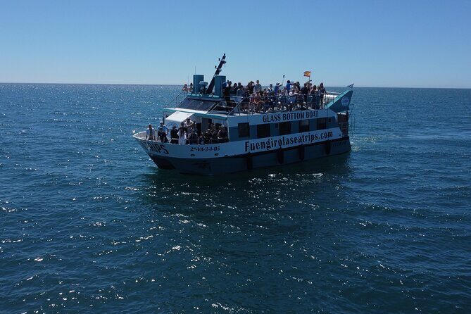 Dolphin watching on a Catamaran in Fuengirola - Dolphin Watching on a Catamaran in Fuengirola: An Authentic Marine Adventure
