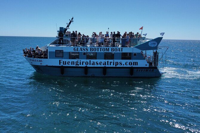 Dolphin watching on a Catamaran in Fuengirola - A Closer Look at the Experience