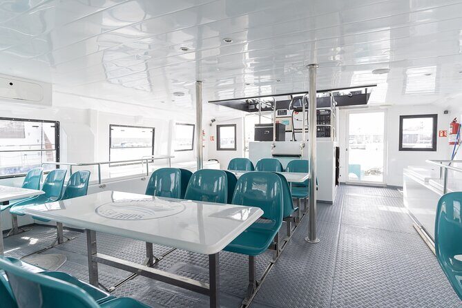 Dolphin watching on a Catamaran in Fuengirola - Final Thoughts