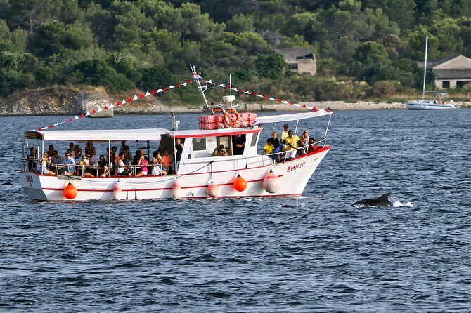 Dolphin Watching Sunset Boat Trip in Pula with Dinner - Who Will Enjoy This Tour?