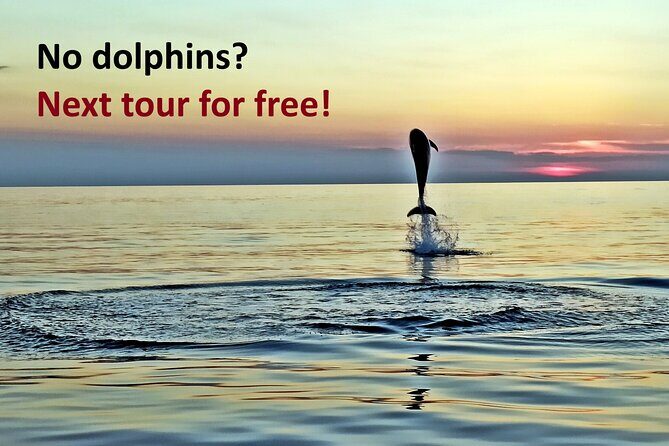 Dolphin Watching Sunset Speedboat Tour with Drinks in Rovinj - Practical Tips for Travelers