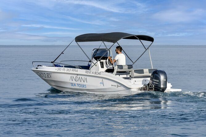 Dolphin Watching Sunset Speedboat Tour with Drinks in Rovinj - Final Thoughts