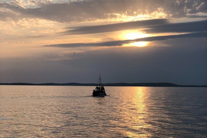 Dolphin Watching Tour  85% Chance  Drinks & Dinner Included - Final Thoughts