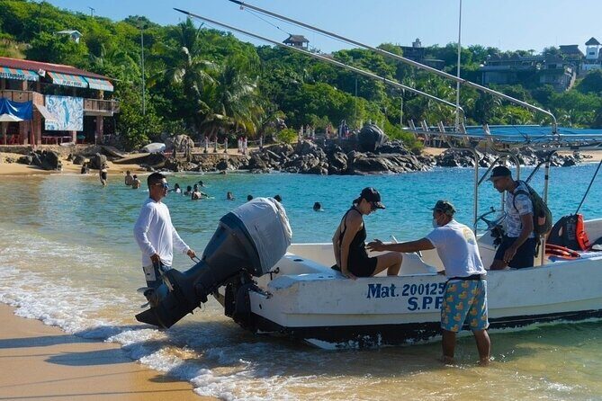 Dolphin Watching Tour - FAQ