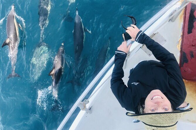 Dolphin & Wildlife Encounters - Analyzing the Value: Is It Worth the Price?