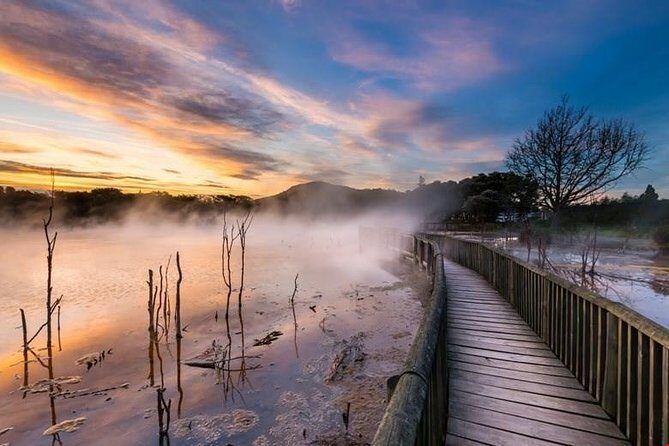 Dolphin & Wildlife Encounters - FAQ