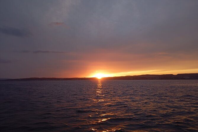 Dolphins and Sea Boat Adventure in Manilva Coast - Overview of the Experience