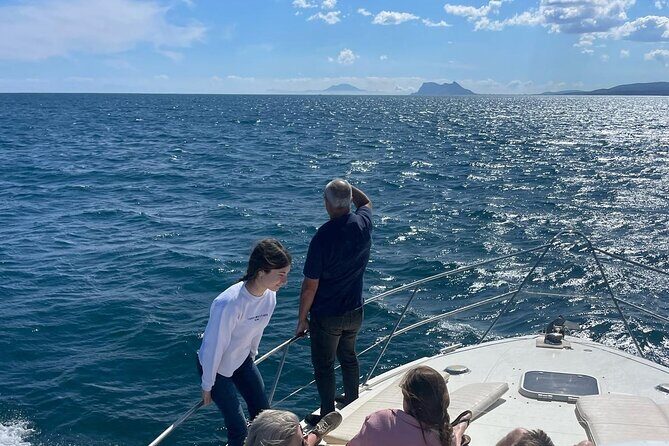 Dolphins and Sea Boat Adventure in Manilva Coast - Who Would Enjoy This Tour?