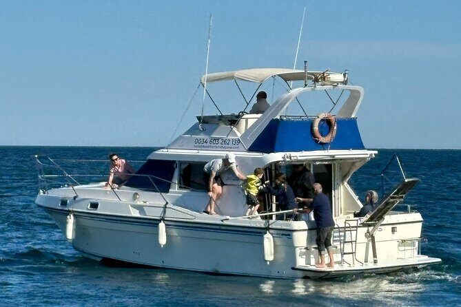 Dolphins and Sea Boat Adventure in Manilva Coast - The Sum Up