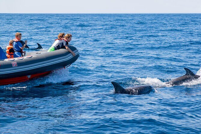 Dolphins & Caves on Rib Boat - An In-Depth Look at the Rib Boat Tour Experience