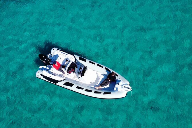 Dolphins Rib boat (up 6 people) Private - Exploring the Sardinian Sea: A Deep Dive