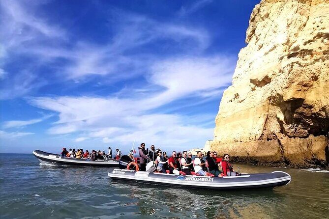 Dolphins Watching - Potential Drawbacks