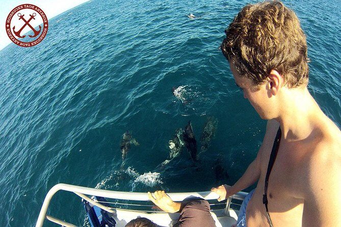 Dolphins Watching in the National Park Brijuni from Pula - Key Points