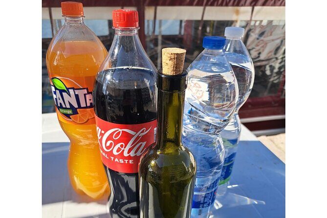 Dolphins Watching in the National Park Brijuni from Pula - FAQ