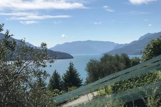 Domaso: Wine Tasting at the Winery on Como Lake - An In-Depth Look at the Winery Experience