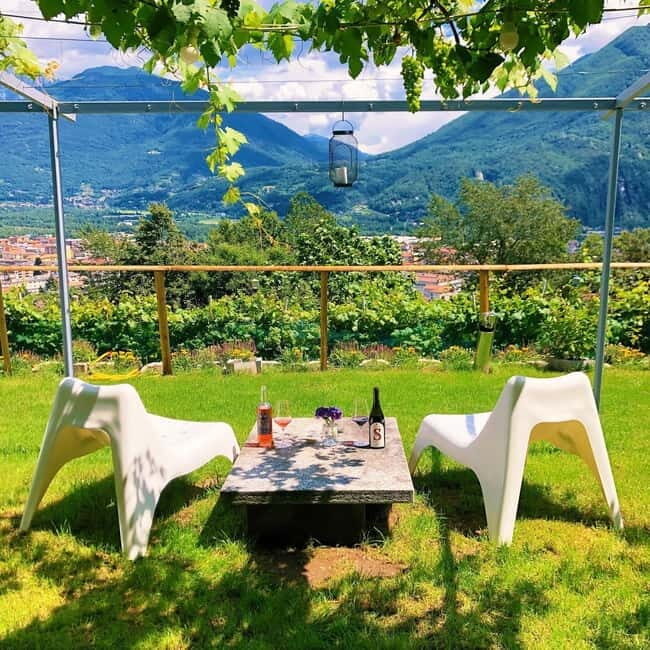 Domodossola: Savor Wines & Local Treats in a Scenic Vineyard - Key Points