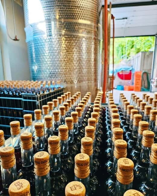 Domodossola: Savor Wines & Local Treats in a Scenic Vineyard - The Setting and Views