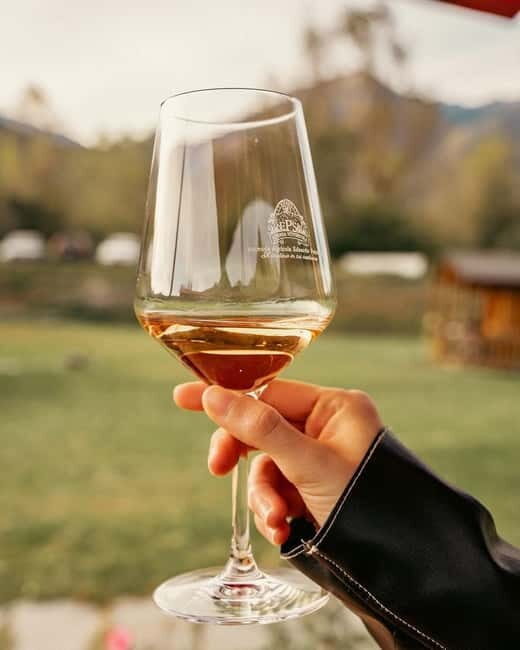 Domodossola: Savor Wines & Local Treats in a Scenic Vineyard - Practical Details