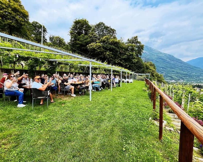 Domodossola: Savor Wines & Local Treats in a Scenic Vineyard - Who Will Love This Experience?