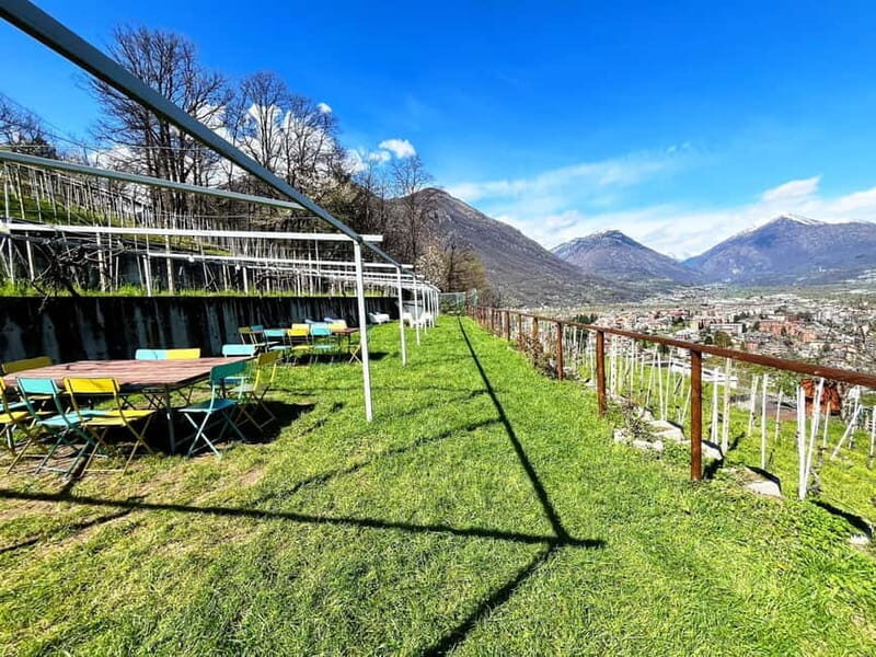Domodossola: Savor Wines & Local Treats in a Scenic Vineyard - The Sum Up