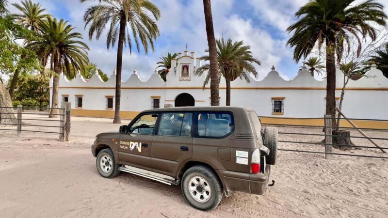 Doñana: 4x4 Excursion and Exclusive Access to Coto del Rey - An In-Depth Look at the Doñana 4x4 Tour