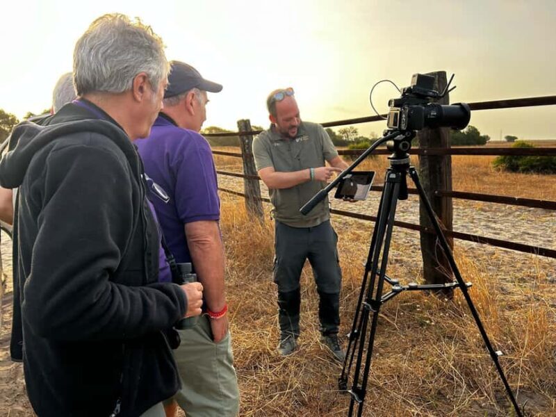 Doñana: 4x4 Excursion and Exclusive Access to Coto del Rey - FAQ  