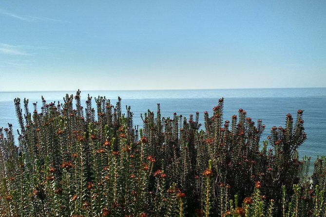 Donana National Park and El Rocío: Private Tour from Seville - FAQ