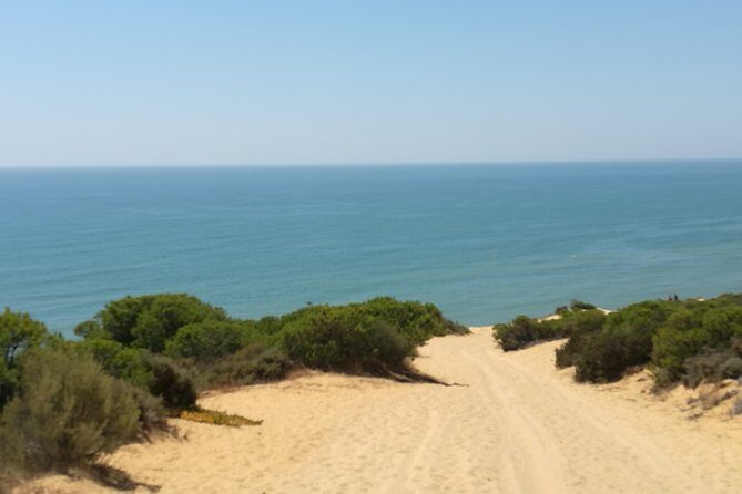 Donana National Park: Guided Day Tour from Seville - What Travelers Say About This Tour