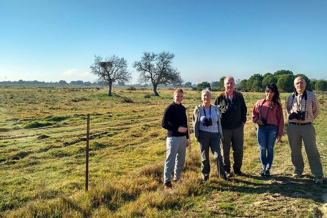 Donana National Park: Guided Day Tour from Seville - Analyzing Value and Practicality