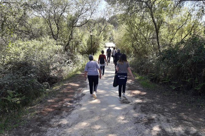 Doñana National Park in 4x4 and El Rocío - FAQ