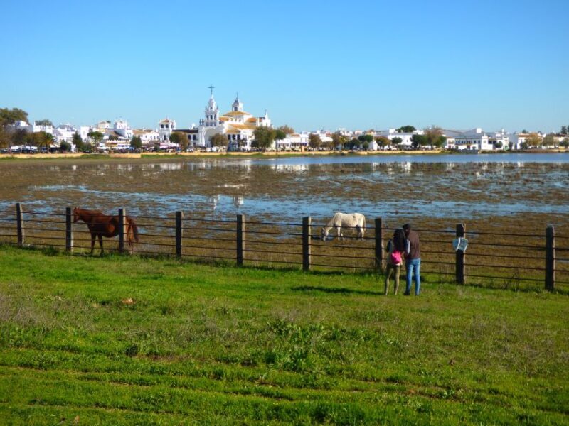 Doñana National Park Off-Road Tour from Seville - The Experience of the Guides