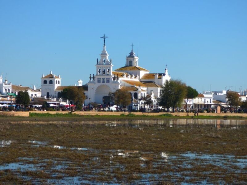 Doñana National Park Off-Road Tour from Seville - Value and Practicality