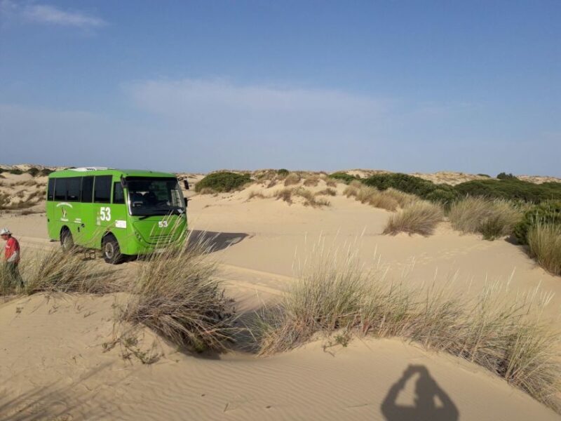 Doñana National Park Off-Road Tour from Seville - Who Would Love This Tour?