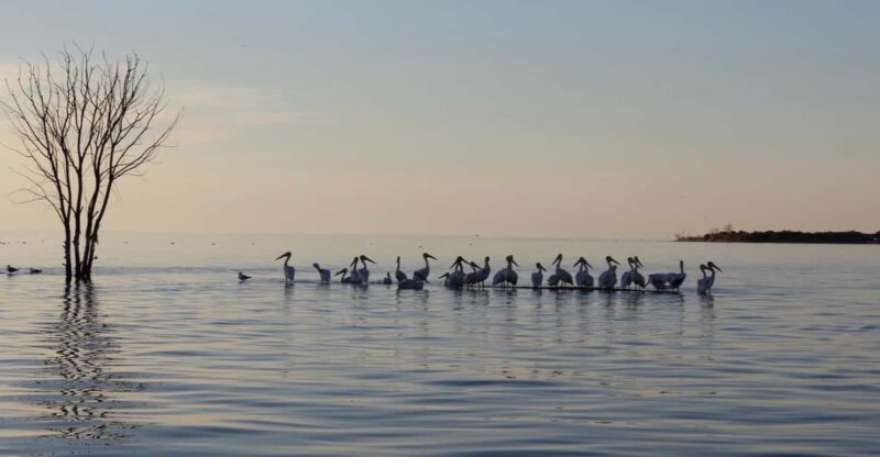 Door County Historic Cottage Row & Strawberry Islands Cruise - The Price and Overall Value