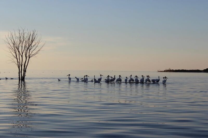 Door County Historic Cottage Row & Strawberry Islands Cruise - Final Thoughts